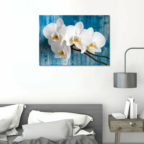 Интерьерная картина на холсте - белая орхидея 50х70