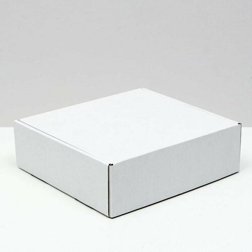 Коробка самосборная, белая, 22,5 х 21 х 7 см (комплект из 15 шт)