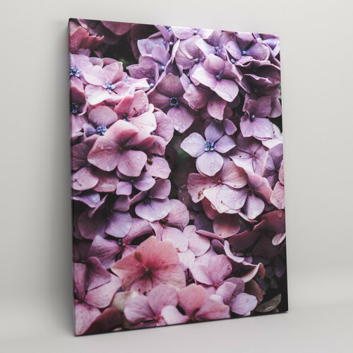 Картина на холсте (интерьерный постер) "Цветы - гортензия" растения, с деревянным подрамником, размер 30х40 см