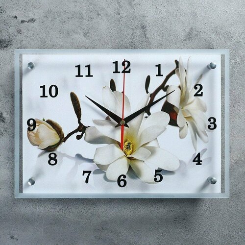 Часы настенные, серия: Цветы, "Орхидея", 25х35 см (комплект из 3 шт)