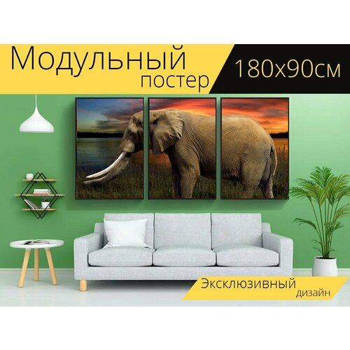 Модульный постер "Слон, саванна, расположение" 180 x 90 см. для интерьера