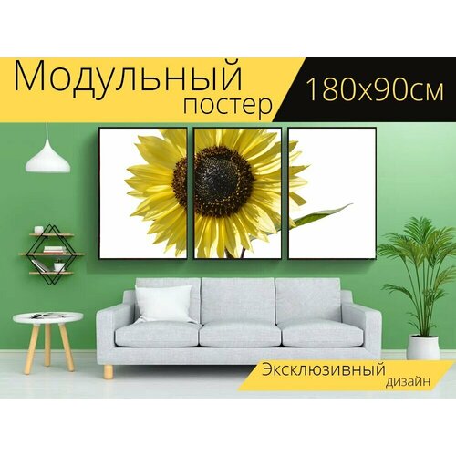 Модульный постер "Подсолнух, цветок, желтый цветок" 180 x 90 см. для интерьера