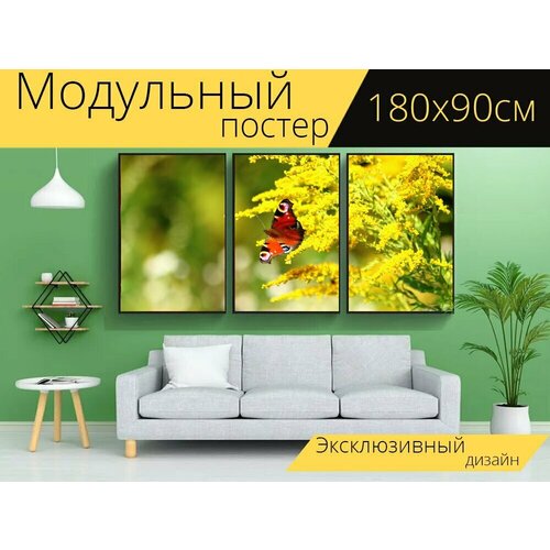 Модульный постер "Павлиний глаз бабочка, бабочка, насекомое" 180 x 90 см. для интерьера