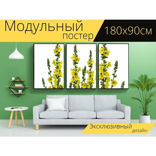 Модульный постер "Полевые цветы, луг, луговые цветы" 180 x 90 см. для интерьера