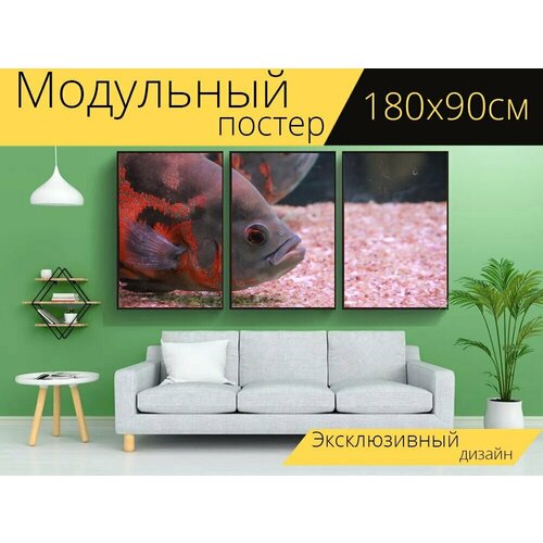 Модульный постер "Рыбы, аквариум, бак рыб" 180 x 90 см. для интерьера