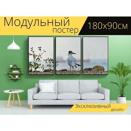 Модульный постер "Чайка, птица, перья" 180 x 90 см. для интерьера
