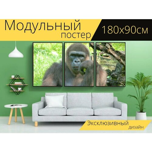 Модульный постер "Горилла, ждать, обезьяна" 180 x 90 см. для интерьера