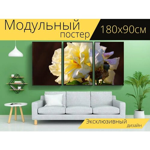 Модульный постер "Роза, желтый, апельсин" 180 x 90 см. для интерьера