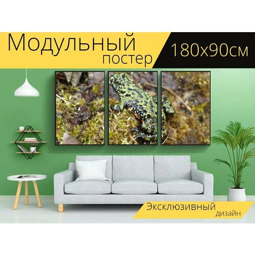 Модульный постер "Лягушка, леди лягушка, весна" 180 x 90 см. для интерьера
