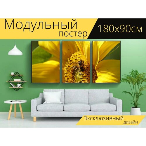 Модульный постер "Подсолнечник, пчела, пчелы" 180 x 90 см. для интерьера