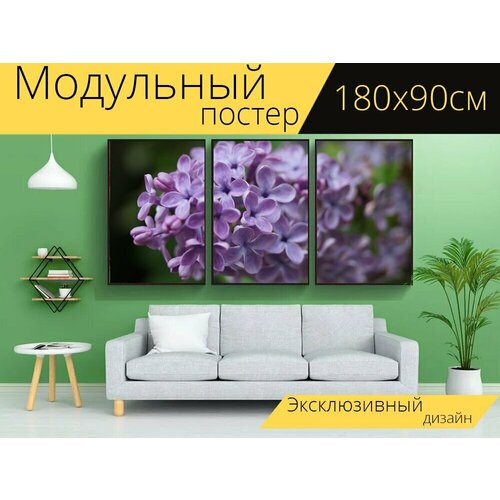 Модульный постер "Цветок, сирень, фиолетовый" 180 x 90 см. для интерьера
