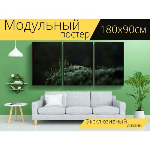 Модульный постер "Мох, растительность, лес" 180 x 90 см. для интерьера