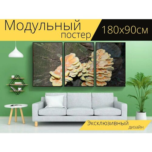 Модульный постер "Мухомор, грибы, ствол дерева" 180 x 90 см. для интерьера