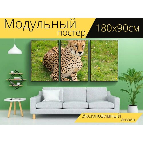 Модульный постер "Дикий кот, большой игровой кот, гепард" 180 x 90 см. для интерьера