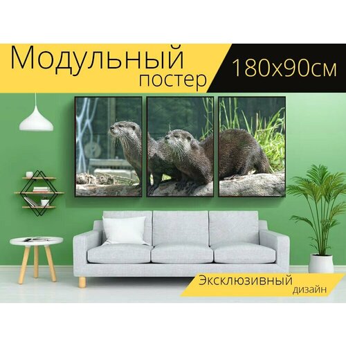 Модульный постер "Зоопарк, тиргартен шенбрунн, выдра" 180 x 90 см. для интерьера