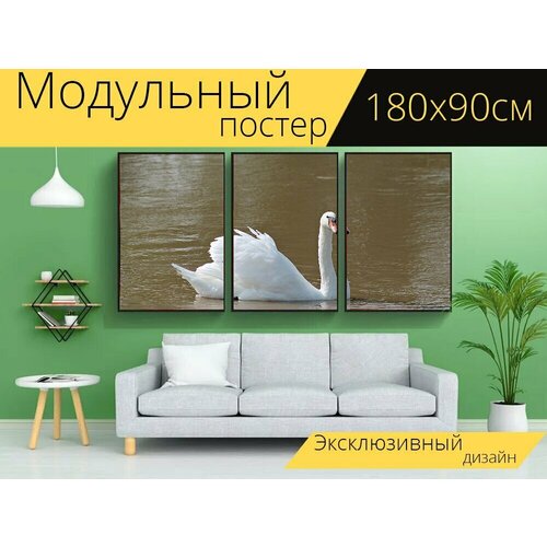 Модульный постер "Лебедь, птица, пруд" 180 x 90 см. для интерьера