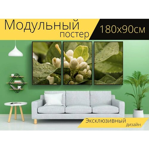 Модульный постер "Завод, лимон, зеленый" 180 x 90 см. для интерьера