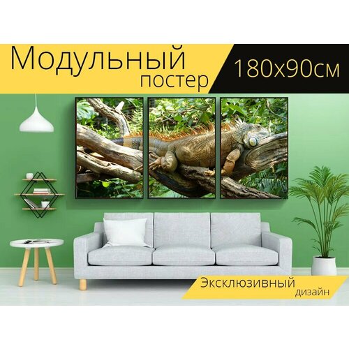 Модульный постер "Ящерица, игуана, рептилия" 180 x 90 см. для интерьера