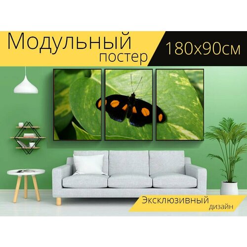 Модульный постер "Бабочка, насекомое, закрывать" 180 x 90 см. для интерьера