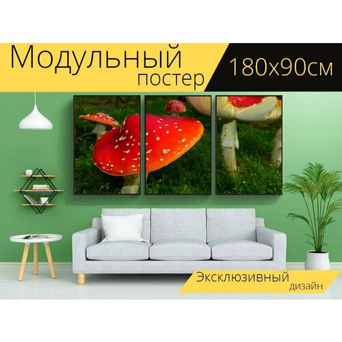Модульный постер "Мухомор, грибы, красная муха гриб мухомор" 180 x 90 см. для интерьера