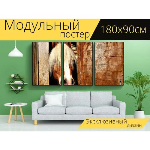 Модульный постер "Лошадь, конюшня, животное" 180 x 90 см. для интерьера