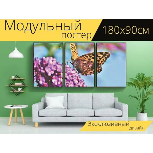 Модульный постер "Бабочка, большая перламутровая бабочка, цветной" 180 x 90 см. для интерьера