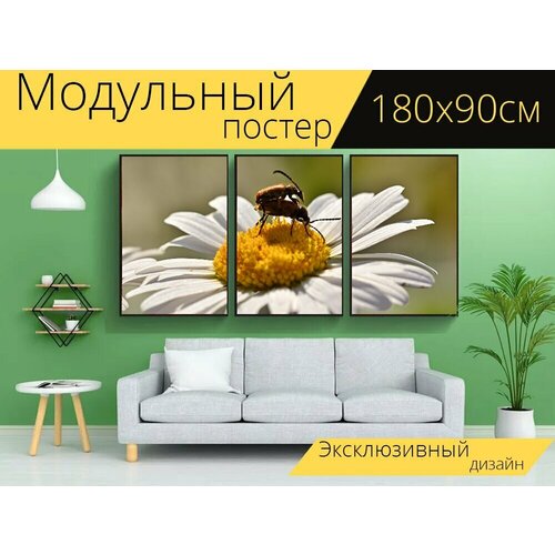 Модульный постер "Жуки, маргарита, спаривание" 180 x 90 см. для интерьера