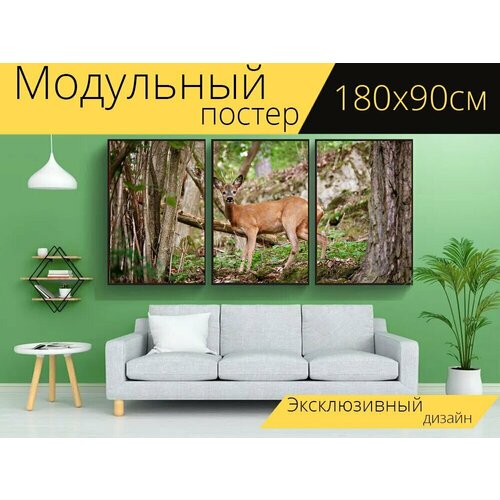 Модульный постер "Косуля, деревья, лес" 180 x 90 см. для интерьера