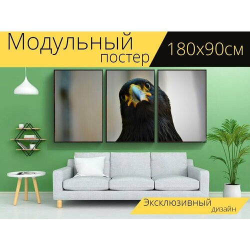 Модульный постер "Канюк, хищник, дикие птицы" 180 x 90 см. для интерьера