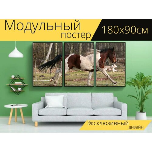 Модульный постер "Лошадь, лошади, животные" 180 x 90 см. для интерьера