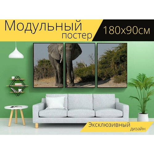 Модульный постер "Слон бык, слон, бык" 180 x 90 см. для интерьера