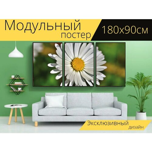 Модульный постер "Маргаритка, цвести, цветок" 180 x 90 см. для интерьера