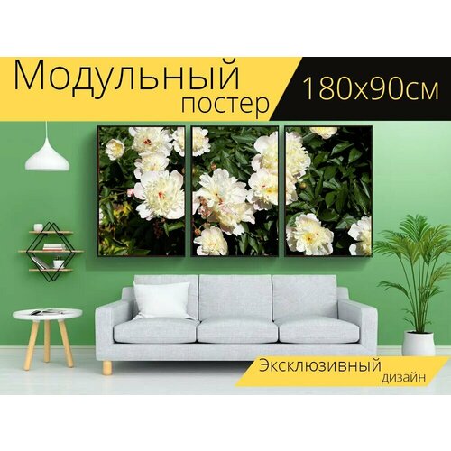 Модульный постер "Цветок, расцветает, пионы" 180 x 90 см. для интерьера