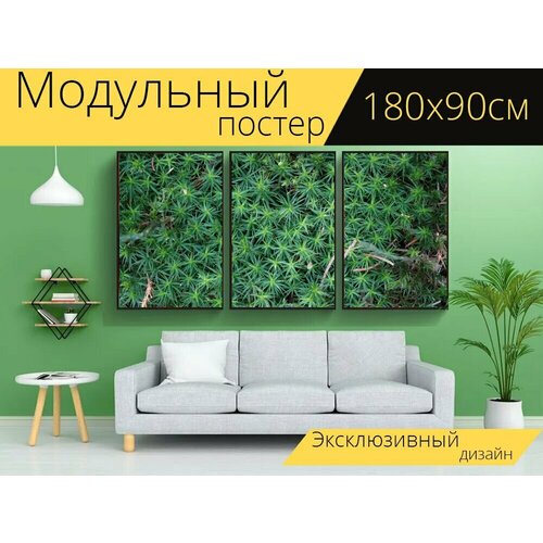 Модульный постер "Мох, зеленый, звездный мох" 180 x 90 см. для интерьера