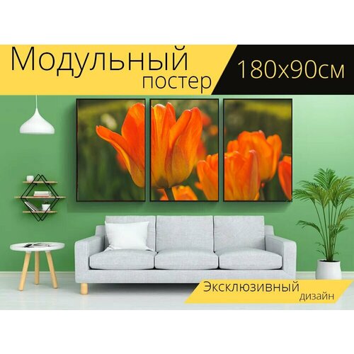 Модульный постер "Тюльпаны, красный, апельсин" 180 x 90 см. для интерьера