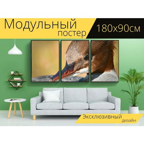 Модульный постер "Крохаль, mergus merganser, утиная птица" 180 x 90 см. для интерьера