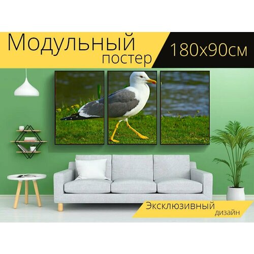 Модульный постер "Чайка, морских птиц, животное" 180 x 90 см. для интерьера