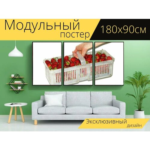 Модульный постер "Корзина, клубника, еда" 180 x 90 см. для интерьера