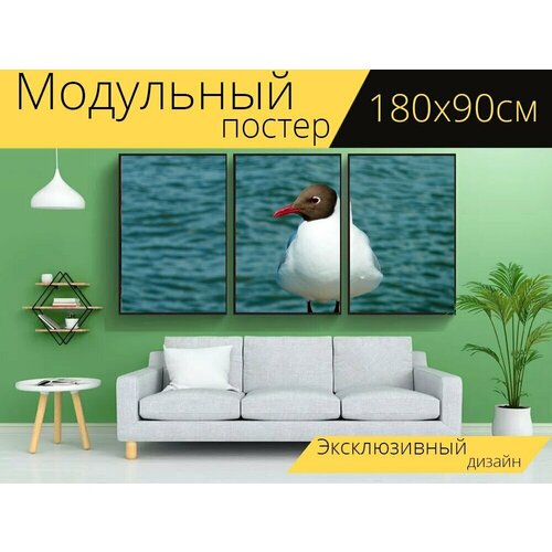 Модульный постер "Птица, чайка, перья" 180 x 90 см. для интерьера
