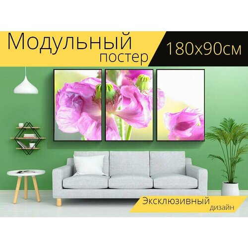 Модульный постер "Мак, цветок, завод" 180 x 90 см. для интерьера