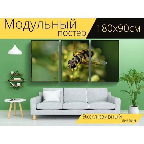 Модульный постер "Журчалки, летать, насекомое" 180 x 90 см. для интерьера