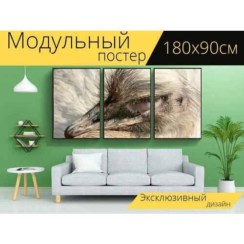 Модульный постер "Более нанду, нелетающих птица, животное" 180 x 90 см. для интерьера