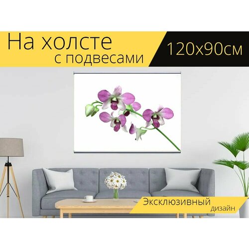 Картина на холсте "Орхидея, цветок, флора" с подвесами 120х90 см. для интерьера