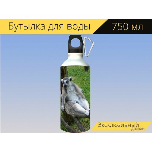 Бутылка фляга для воды "Лемур, зоопарк, дикий" 750 мл. с карабином и принтом