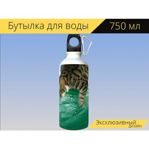 Бутылка фляга для воды "Кошка рыбалка в бассейне, домашний питомец, кошачий" 750 мл. с карабином и принтом