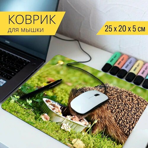 Коврик для мыши с принтом "Ежик, шпора, ханна" 25x20см.