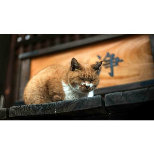 Картина на холсте 60x110 LinxOne "Дремлющий рыжий кот на" интерьерная для дома / на стену / на кухню / с подрамником