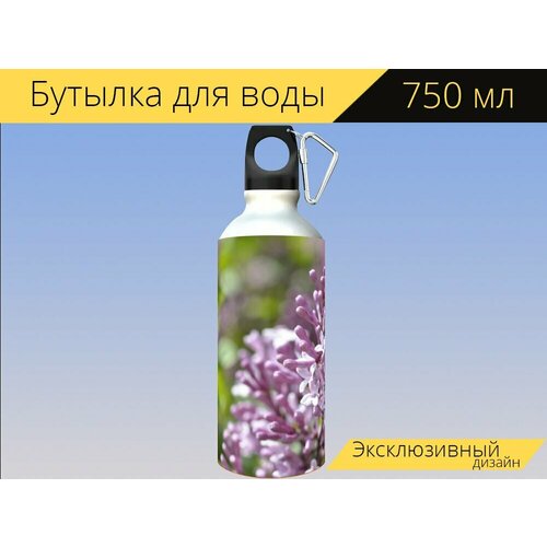 Бутылка фляга для воды "Сирень, цвести, фиолетовый" 750 мл. с карабином и принтом