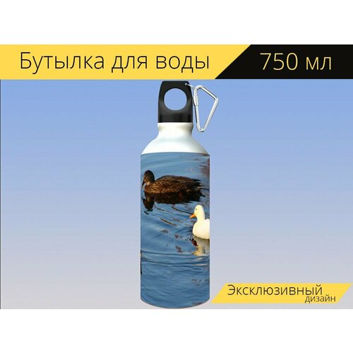 Бутылка фляга для воды "Андерс, разные, оппозиция" 750 мл. с карабином и принтом