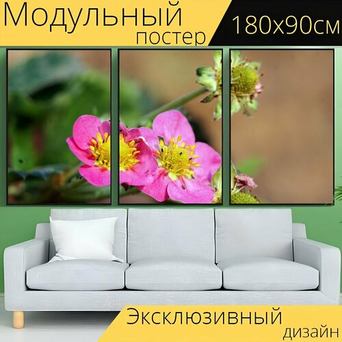 Модульный постер "Клубника, цветок, весна" 180 x 90 см. для интерьера